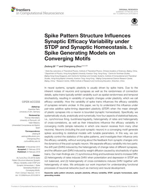 Pdf Spike Pattern Structure Influences Synaptic Efficacy Variability
