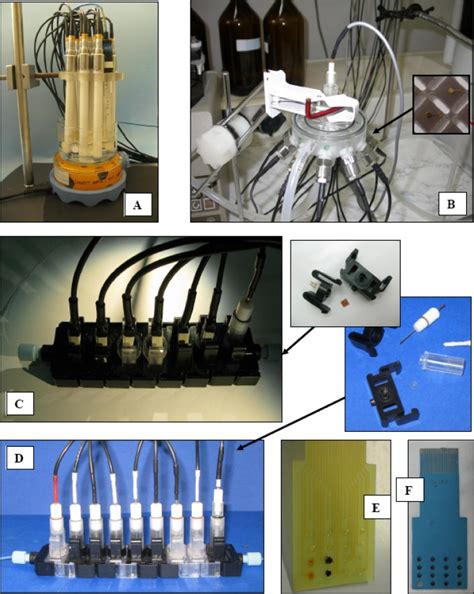 Sensor Arrays Composed Of Potentiometric Electrodes A Ises In Philips Download Scientific