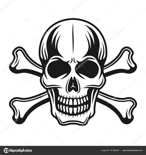 해골 이미지와 벡터 상세한 일러스트 레이 션 — 스톡 벡터 일러스트레이션 해골 아트 해골