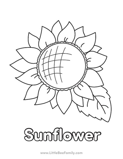 Sunflower Art Coloring Page Coloring Pages