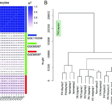 Sample Correlation And Batch Effect Correction A The Pearsons Download Scientific Diagram