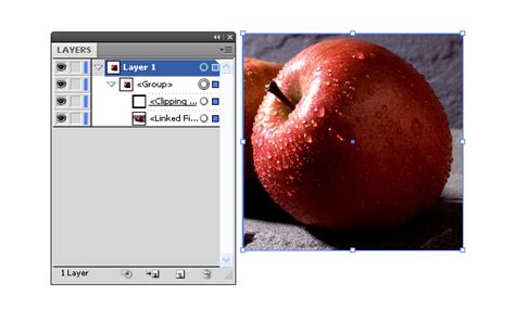 quick tip how to crop raster image in adobe illustrator envato tuts