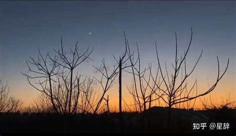 晚林 知乎