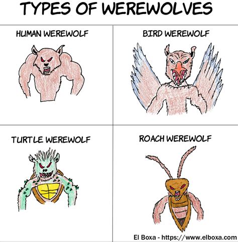 Types Of Werewolf Forms