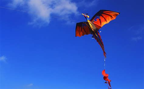 Hengda Kite Upgrade Classical Dragon Kite Stereoscopic
