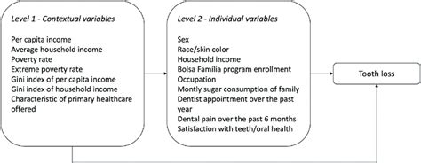 hypothesized hierarchical analytical model for tooth loss in the rural