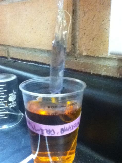 Biology Diffusion And Osmosis Lab