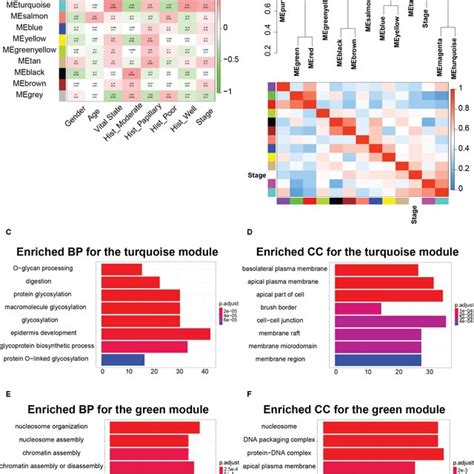 Identification Of Modules Associated With Progression Of Intrahepatic Download Scientific