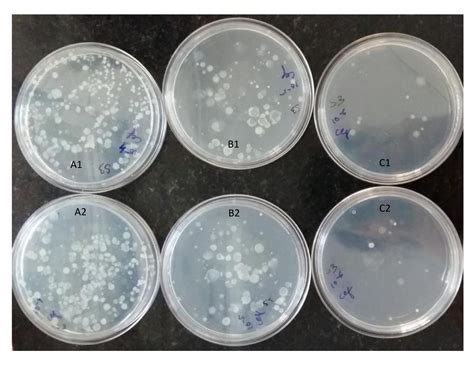 Video Isolation And Identification Of Waterborne Antibiotic Resistant