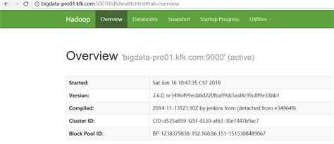 全网最详细的Hadoop HA集群启动后两个namenode都是standby的解决办法图文详解 大数据和AI躺过的坑 博客园