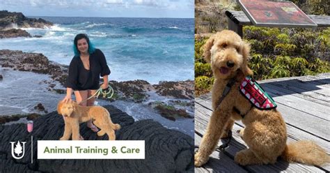 Unity Environmental University On Linkedin Environmentalscientist Unitycollege Sustainability