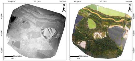 DSM Left And Orthomosaic Right Generated From RGB Image Dataset Download Scientific Diagram