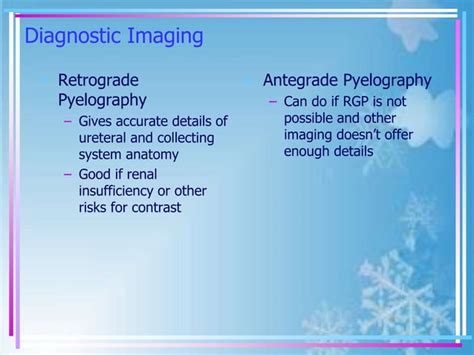 Pathophysioogy Of Urinary Tract Obstruction Bassem Presentation Ppt
