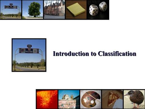 594503964 Introduction To Classification Ppt Slides 1ppt