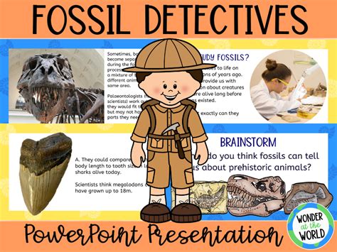 What Can Fossils Tell Us Powerpoint Presentation Ks2 Teaching Resources