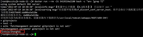 如何在docker run启动容器时，取消 镜像中默认已经设置好的环境变量 zhai david 博客园