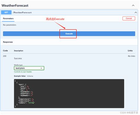 net ASP NET Core Web API 项目创建之初体验 net webapi CSDN博客