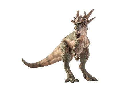 Free Dinosaurio Stygimoloch Sobre Fondo Blanco 8843981 Png With