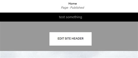 Squarespace Logo Code Summary Block