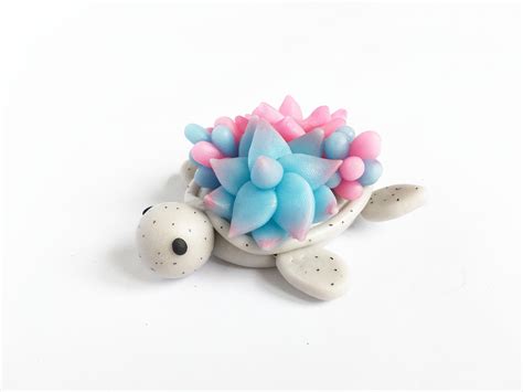 Clay Turtle Handmade Free Photo On Pixabay