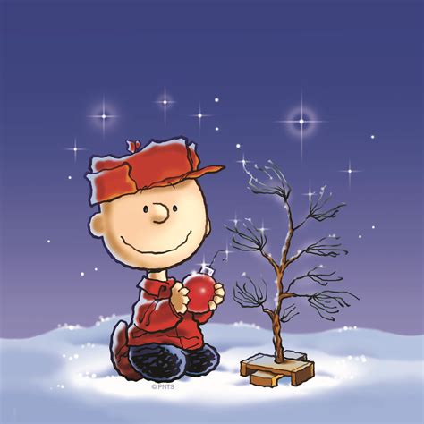 Wallpaper Charlie Brown Christmas F