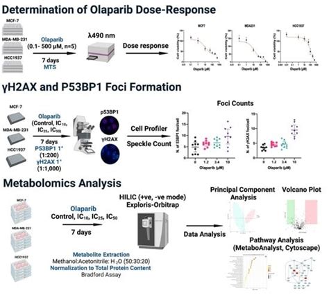 Cancers An Open Access Journal From MDPI