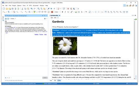 Oxygen Xml Editor What Is New