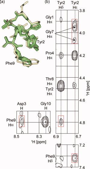 Superposition Of Nmr Structures Of Gpm12d4pk7g Green On Download Scientific Diagram