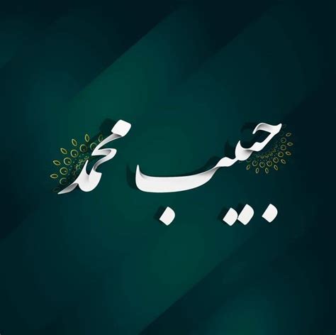 حبیب محمد عزيز