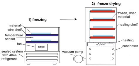 Applied Sciences Free Full Text The Effect Of Freeze Drying On The Properties Of Polish