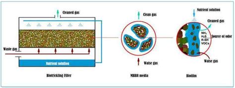 How Does A Biofilter Work Bioetp
