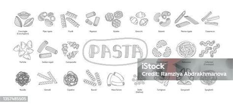 이탈리아 파스타의 종류 벡터 식품 스케치 번들 마카로니 일러스트 세트 리가토니 푸실리 가르가넬리 국수 스텔 콘치글리 스파게티