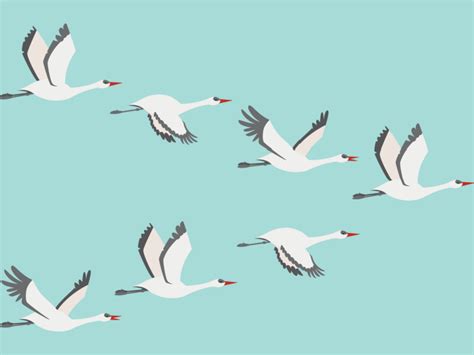 Api Migration Myths In A2p 10dlc What You Need To Know Telgorithm