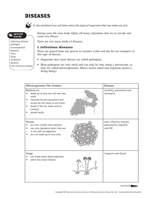 Diseases Worksheet Pdf Pathogen Infection