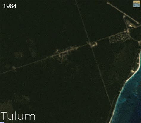 Jupyter GIFs Get The Best GIF On GIPHY