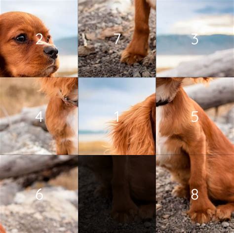 Solving 8 Puzzle Using Searching Algorithms