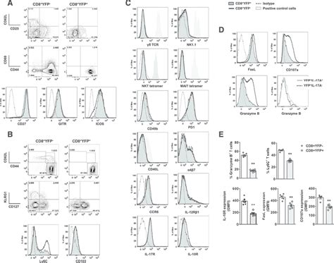 Early Posttransplant Tc17 Cells Express Altered T Cell Memory Markers Early Posttransplant Tc17 Cells Express Altered T Cell Memory Markers