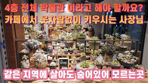다육이 박물관 전시장 4층건물 전부다 다육카페 산자락끝에 숨어있는 다육이 카페 카페 관심 달콤한총각다육 Youtube
