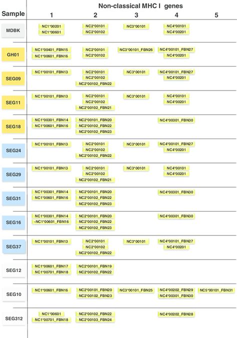 Overview Of Non Classical Mhc Class I Alleles In The Data Set Overview