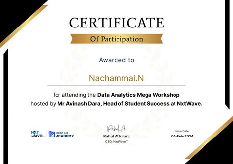Nachammai N On Linkedin Ccbp Ccbpians