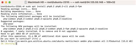 How To Install PHP For Nginx On Ubuntu Devtutorial