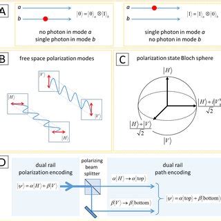 3 Example Universal Set Of Quantum Gates Consisting Of Three Single Download Scientific