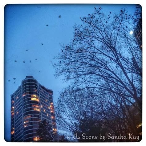 Sandra Christopherson Sandrakayphotos • Instagram Photos And