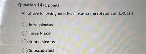 Solved Question 14 (1 ﻿point)All of the following muscles | Chegg.com