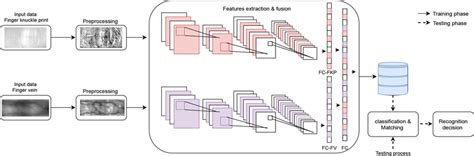 Multimodal Recognition System Based On Feature Level Fusion Download