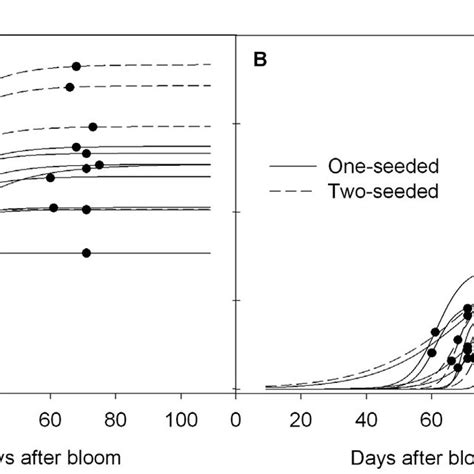 Diameter Increment During The First Growth Phase D 1 The Initial Download Scientific