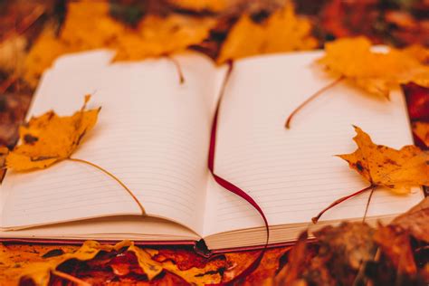 Double Dactyl Poetry Form Stir Belly Laughs Example