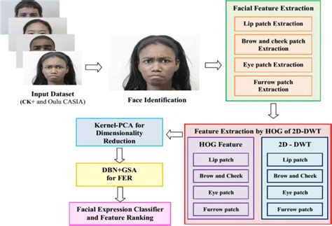 Architecture Of Semi Supervised Dbn Classifier Download Scientific