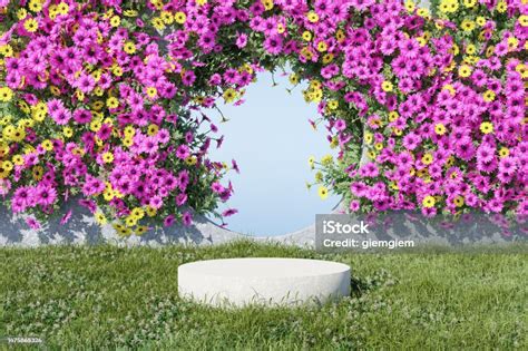 Abstact 3d 렌더링 봄 장면 및 자연의 아름다움 연단 배경 잔디밭의 돌 연단 제품 디스플레이 광고 화장품 등을 위한