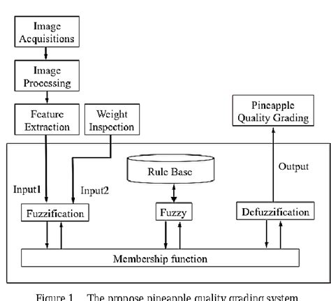 Figure 1 From Pineapple Quality Grading Using Image Processing And Fuzzy Logic Based On Thai